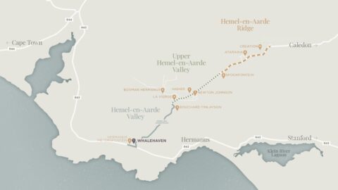 Wine Hoppers | Experience the Hemel-en-Aarde Valley at your leisure ...